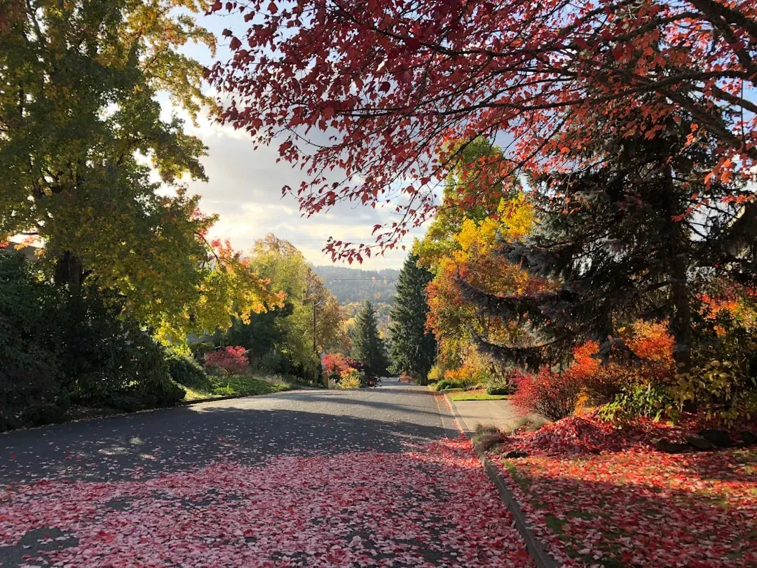 7 college towns with the most surprisingly pleasant weather that are ...