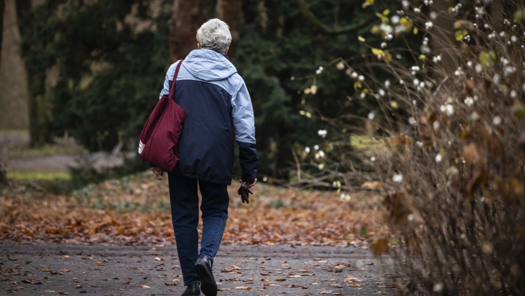 Walking's role in supporting brain health