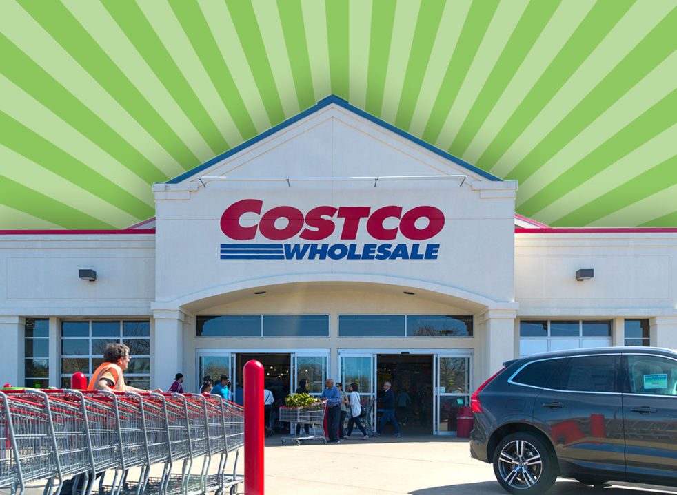 11 best new Costco finds under $20 this month