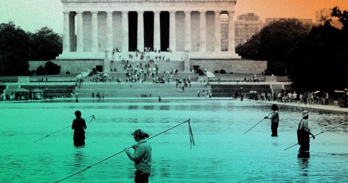 A swimming-pool guru’s take on Trump’s DC debacle