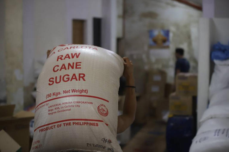 Negros Occidental lawmaker pushes permanent task force to combat sugarpest