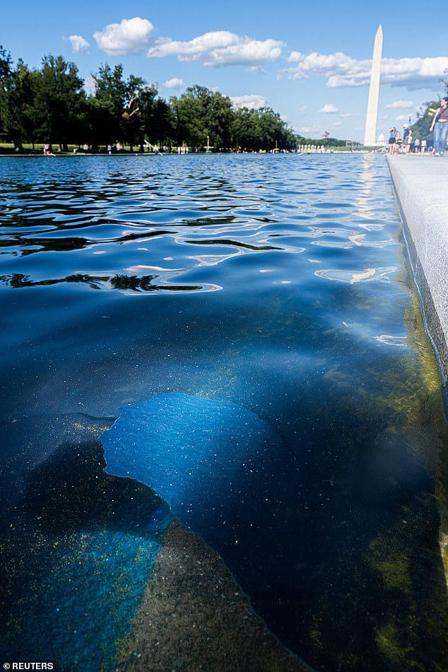 Ex-Olympian slams Trump's 'lies' over reflecting pool vandalism claims