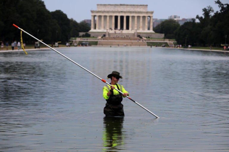 The renovated Reflecting Pool in DC is now full of algae - so what's ...