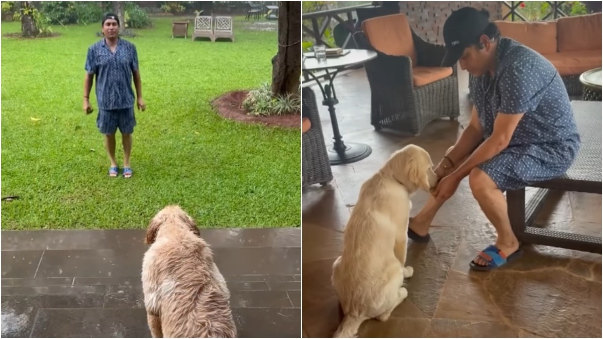 Sachin Tendulkar's monsoon companion is a 'Bouncer' with pure chaos energy