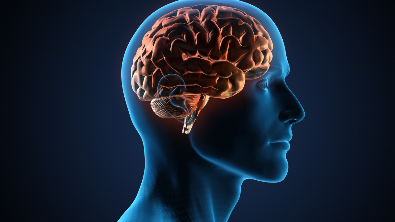 What if the secret to a healthier ageing brain has been sitting in your ...