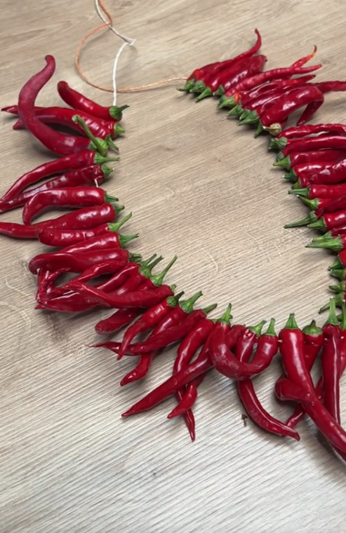 Chilies trocknen richtig gemacht