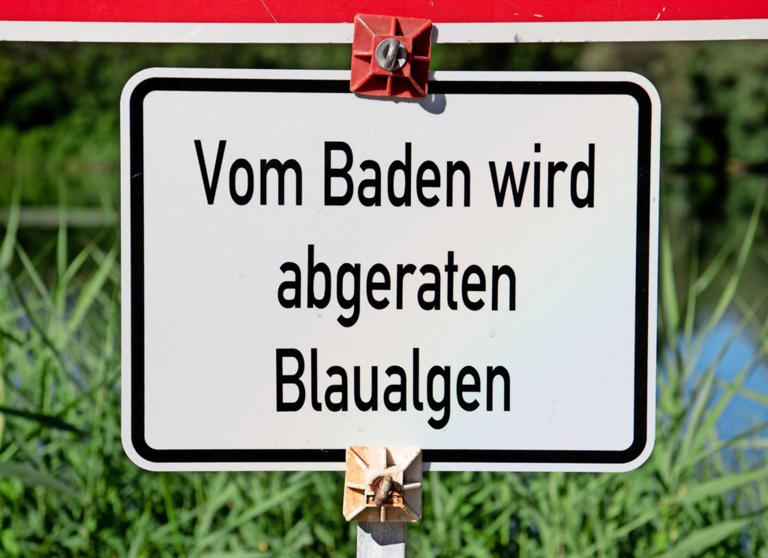 In diesen Badeseen und Flüssen kann man unbesorgt schwimmen gehen