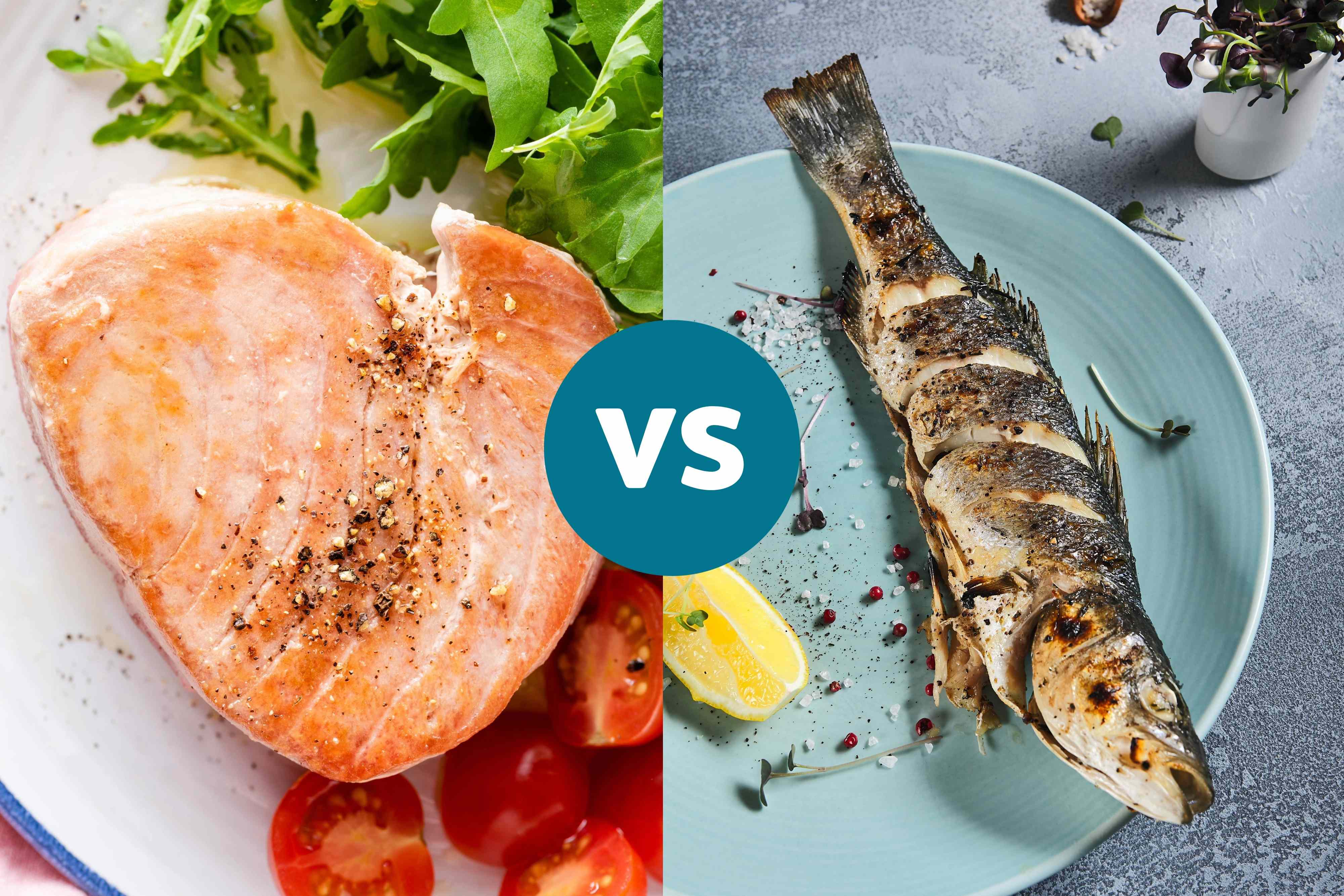 Tuna vs. trout: Which is better for vitamins and protein?