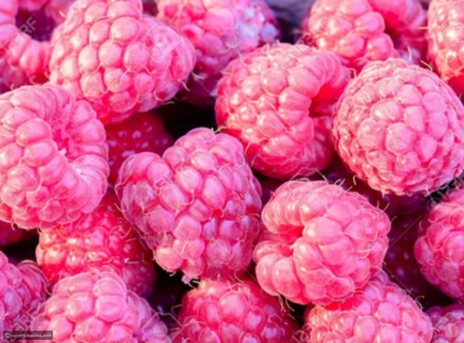 Naturally Pink Foods That Add Healthy Beauty to Everyday Mea