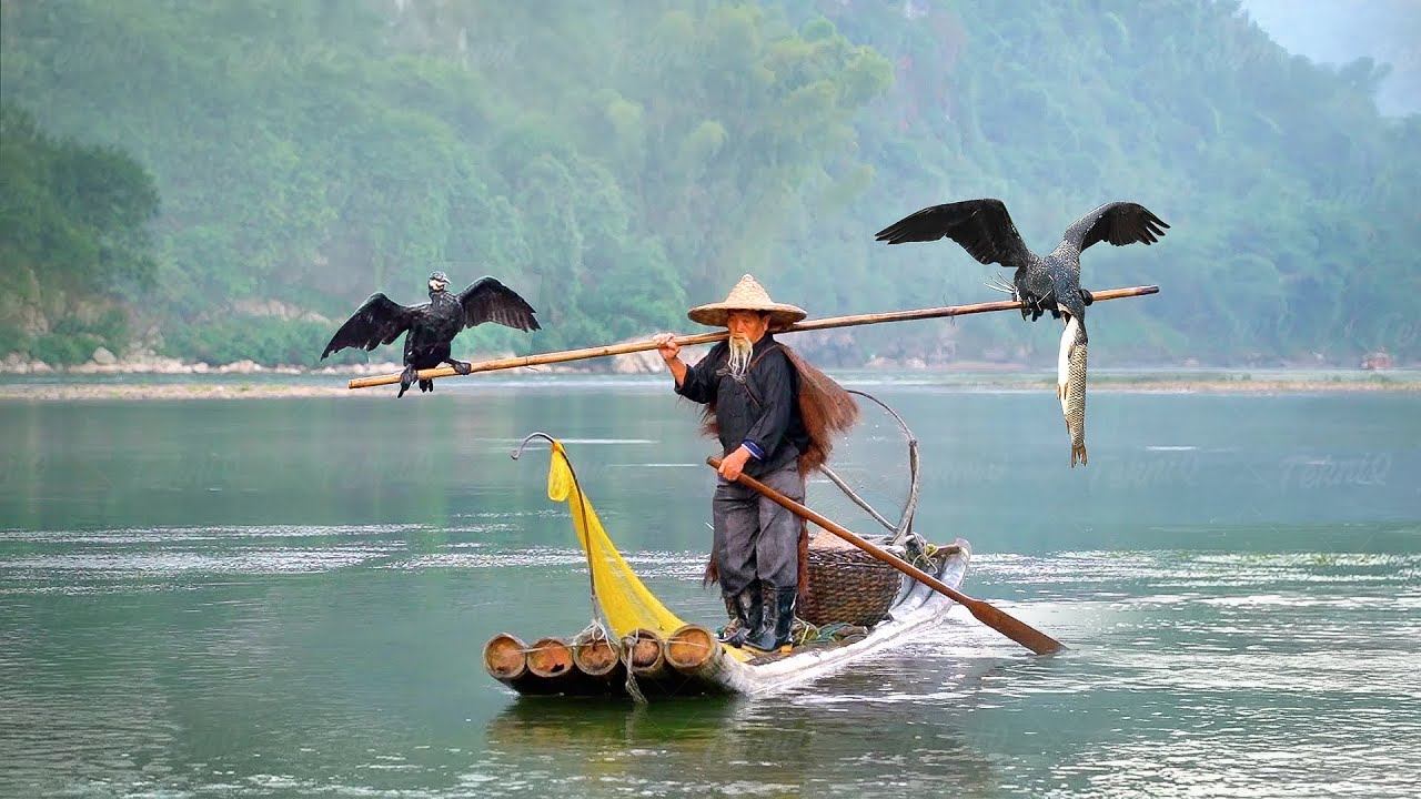 This old man trained birds to catch fish for him
