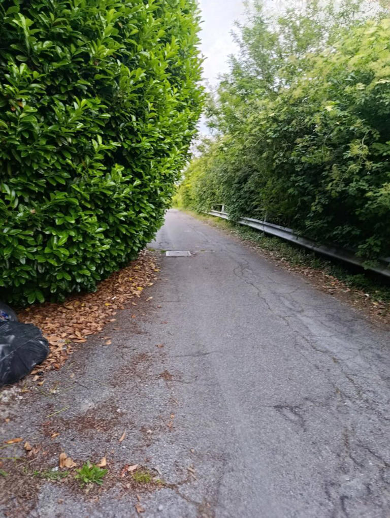 Cesano, rifiuti abbandonati in via Ordini: segnalazione di Guardia ...