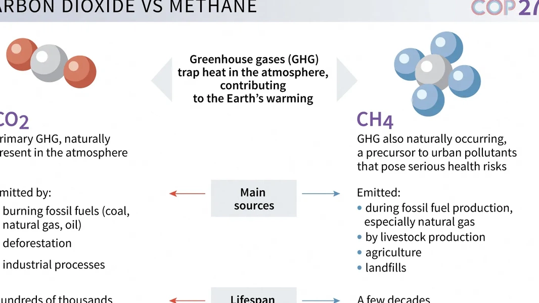 Methane's role in climate change and microbial interactions