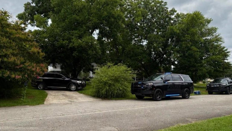 Pregnant woman killed in Baldwin County murder-suicide, police say