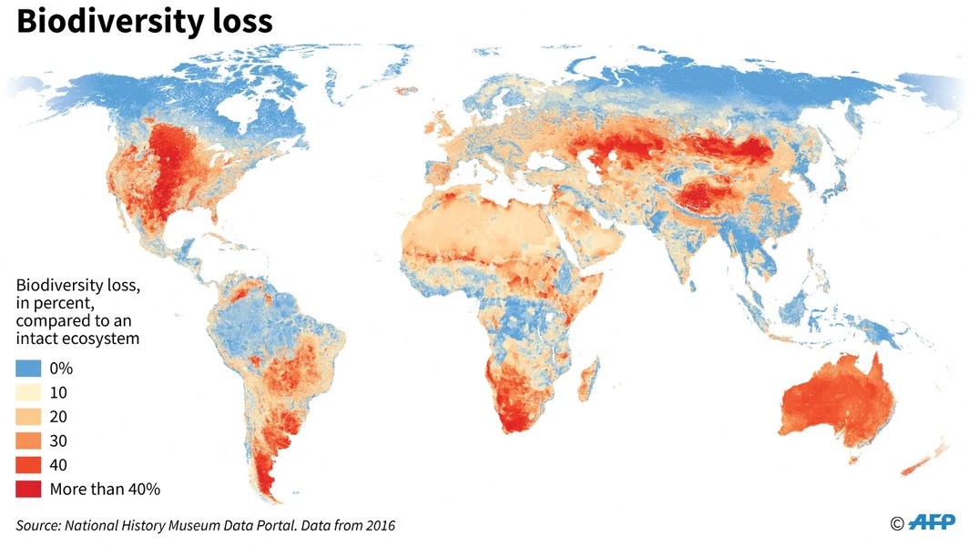 Wealth, consumption, and environmental inequality