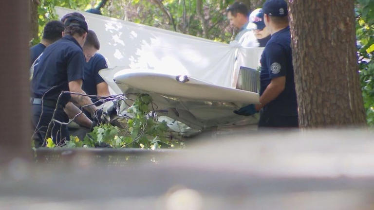 3 dead after small plane crashes at public park in Maryland