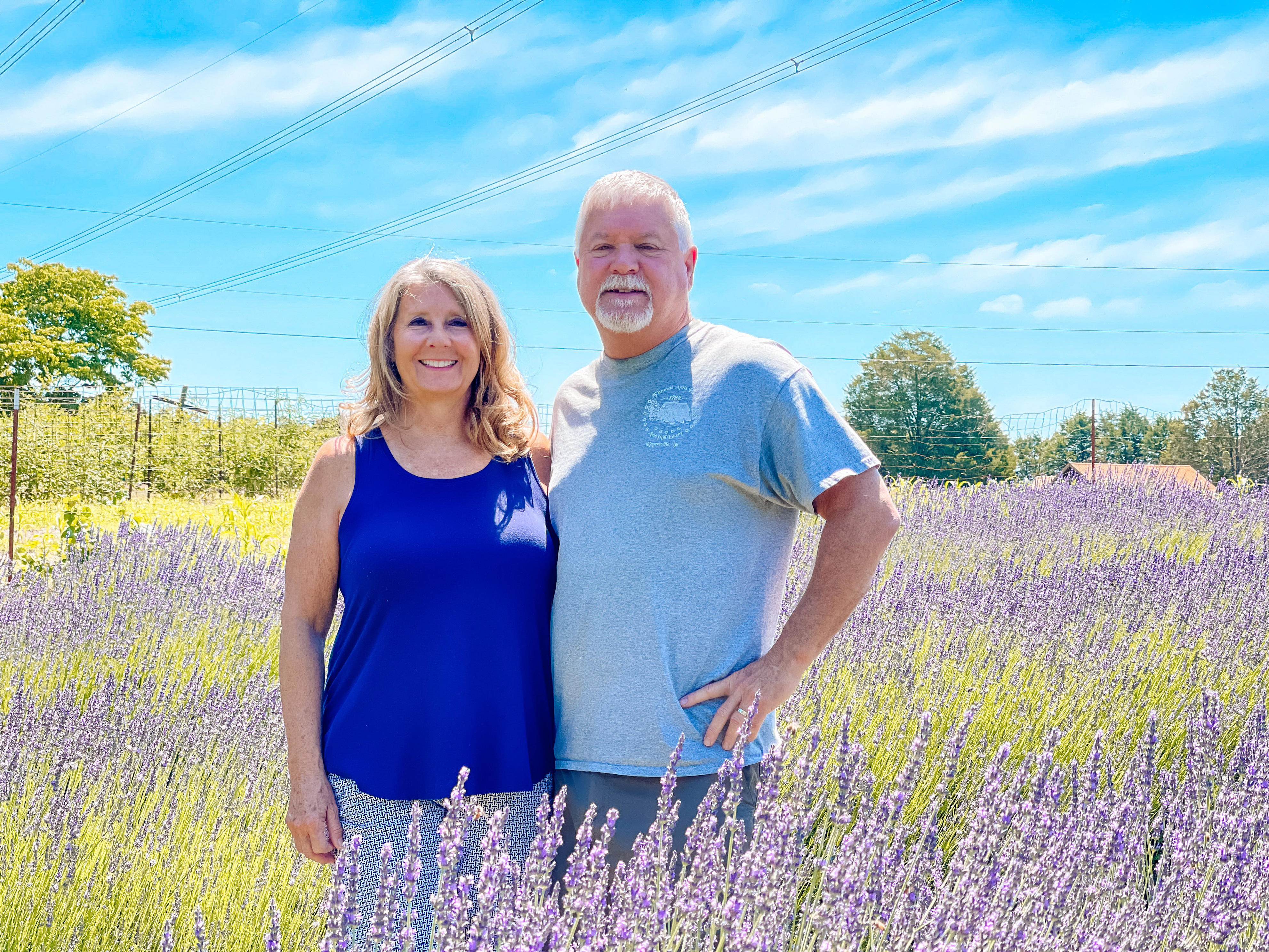 Find summer fun on the farm with berry picking, wine tasting