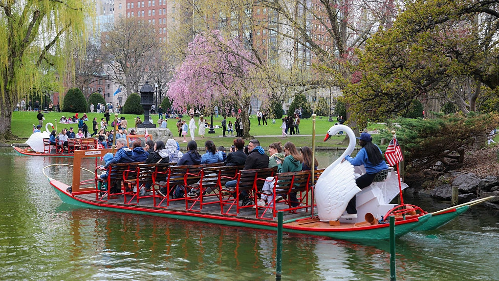 Boston's Swan Boats: A century-long tradition