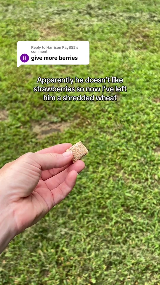 I'm on a mission to find his favorite snack