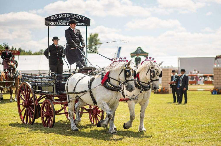 Enter to win family tickets to the Kent County Show 2026, a three-day ...