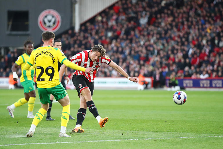 Hull City and Everton 'interested' in ex-Sheffield United star Sander ...