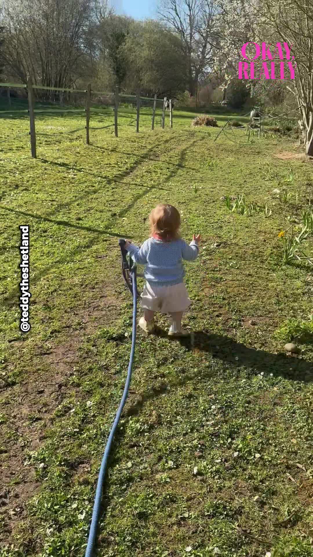 Toddler’s call brings unexpected animal friends running
