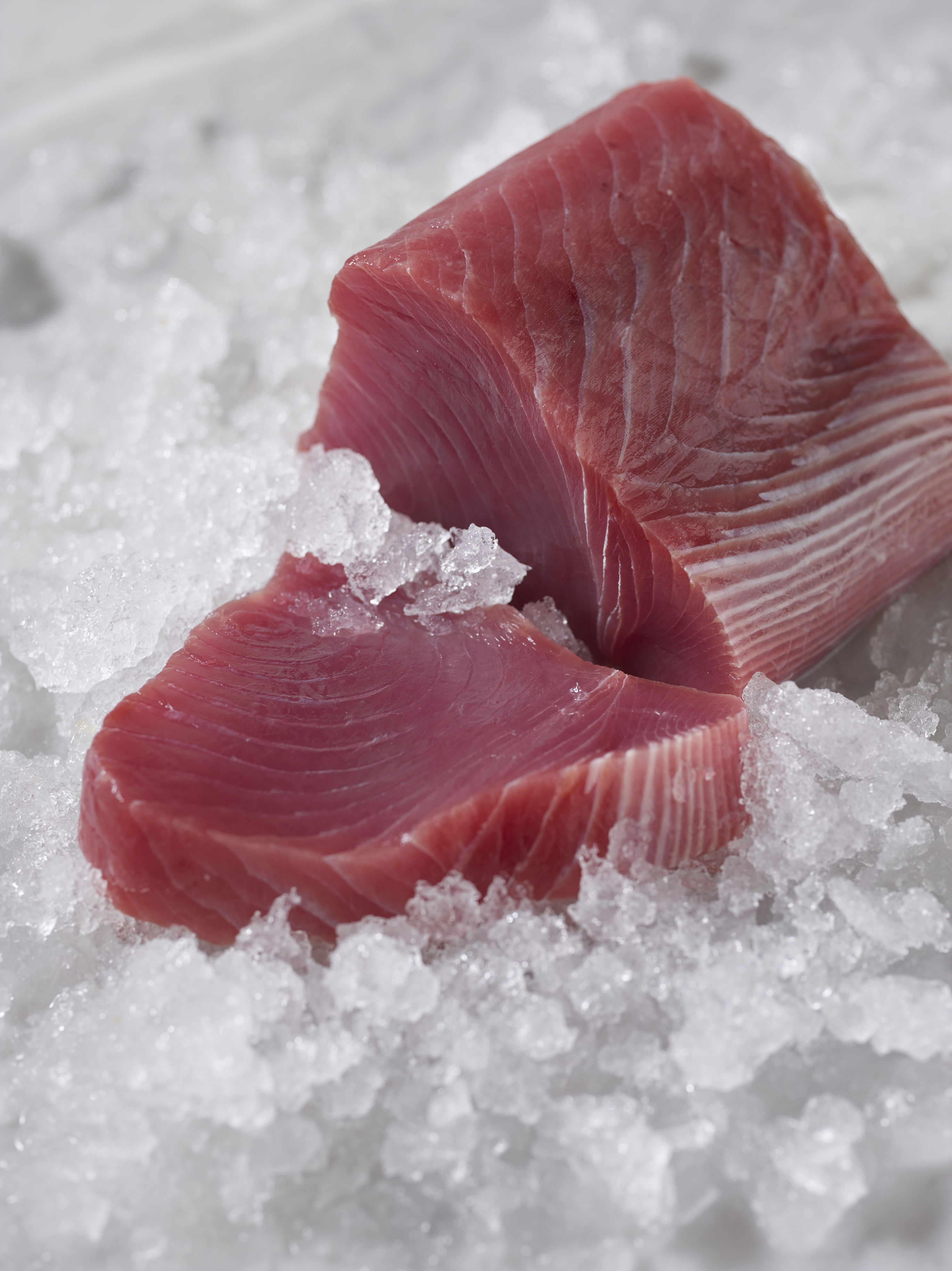 Ricette con il tonno fresco: le nostre preferite
