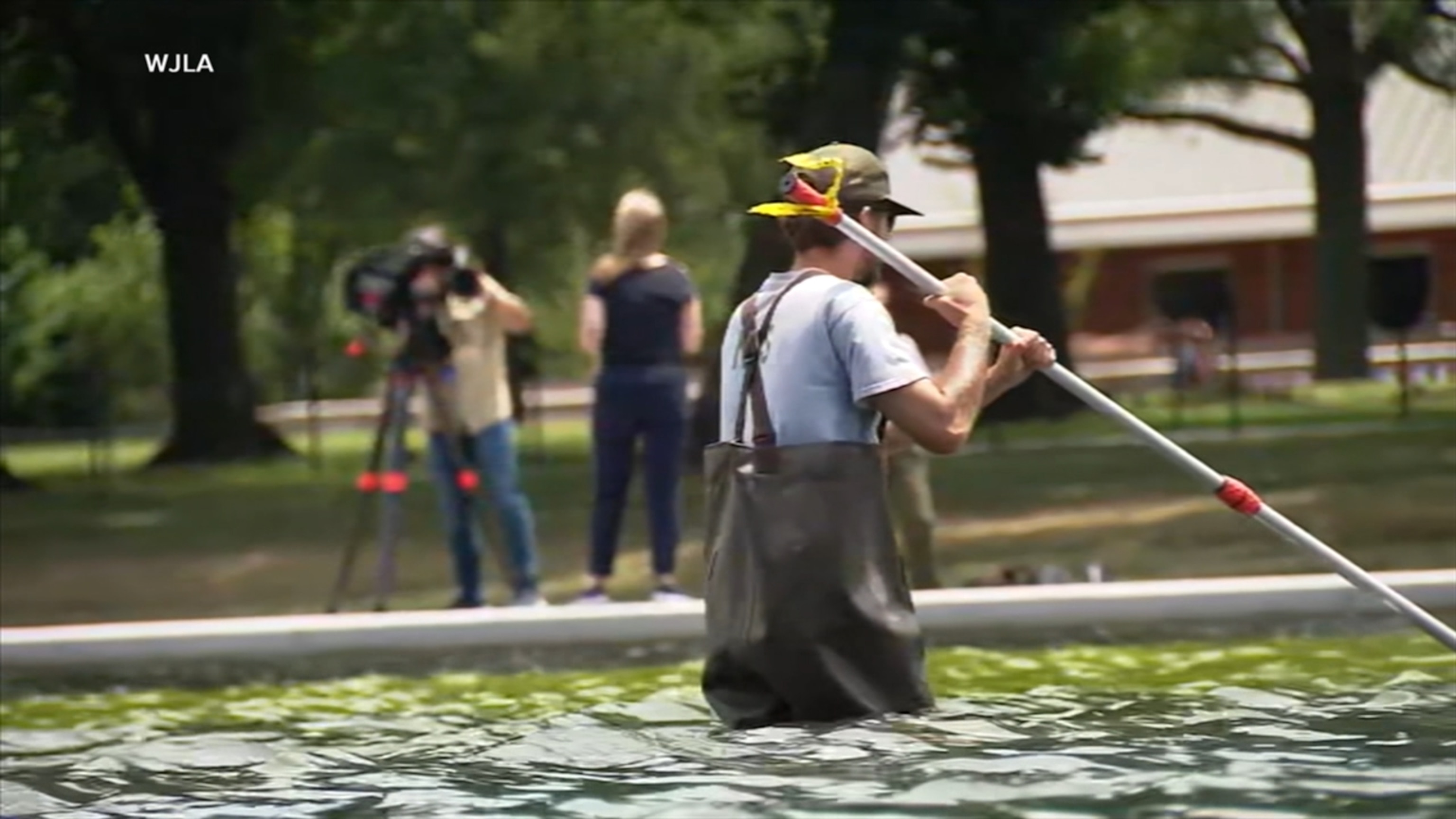 Reflecting pool troubles