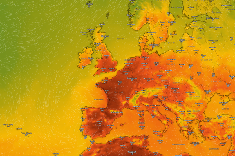 Week long Yellow alert high temp warning as night and day to be ...
