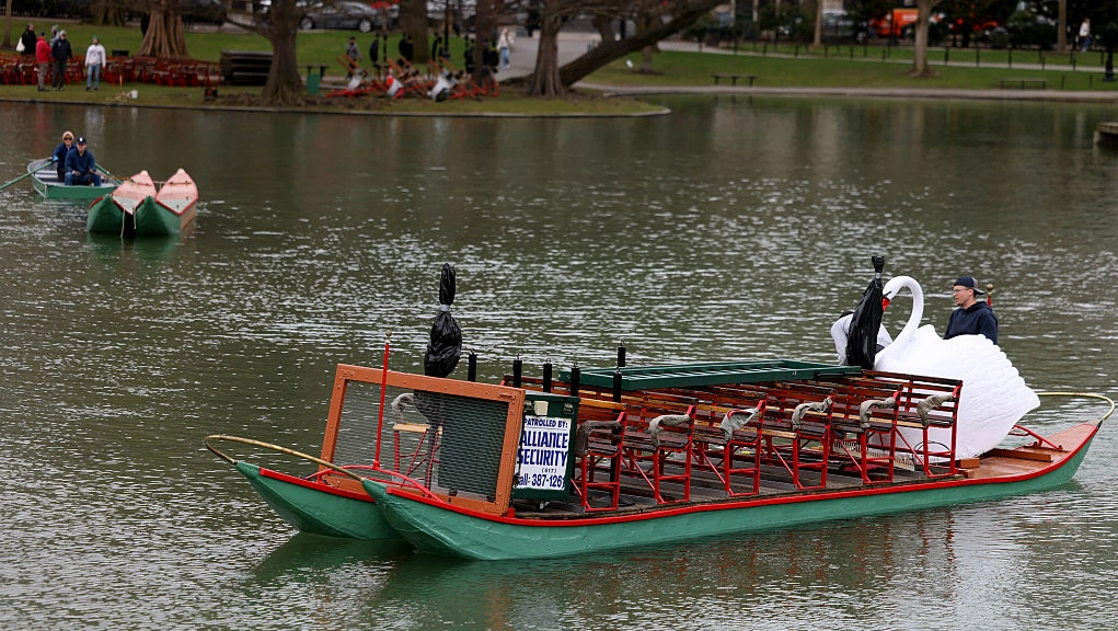 Boston's Swan Boats: A century-long tradition
