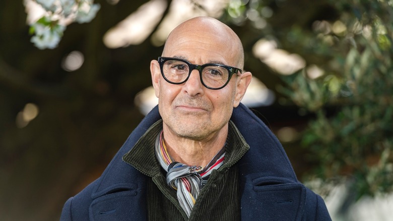 Stanley Tucci considers this Italian food misconception a capital ...