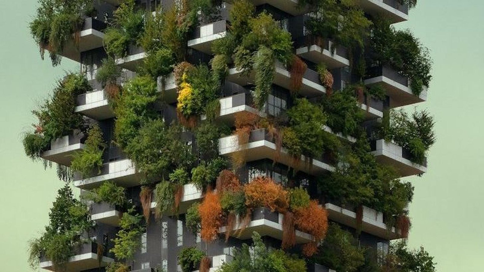 Vertical farming: Can cities really grow their own food?