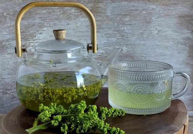 Staghorn sumac blossom tea had a surprisingly familiar taste: hard ...