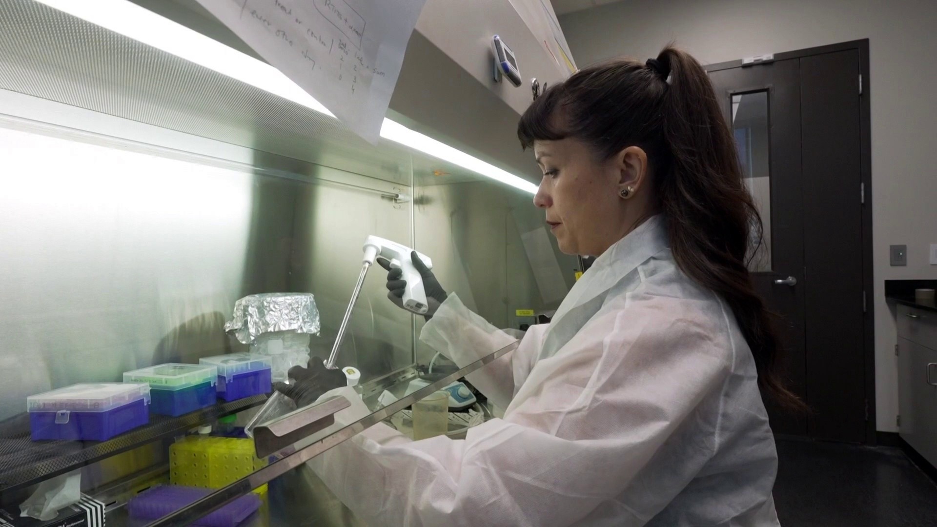 Researcher tests immunotherapy as solution to reverse gray hair