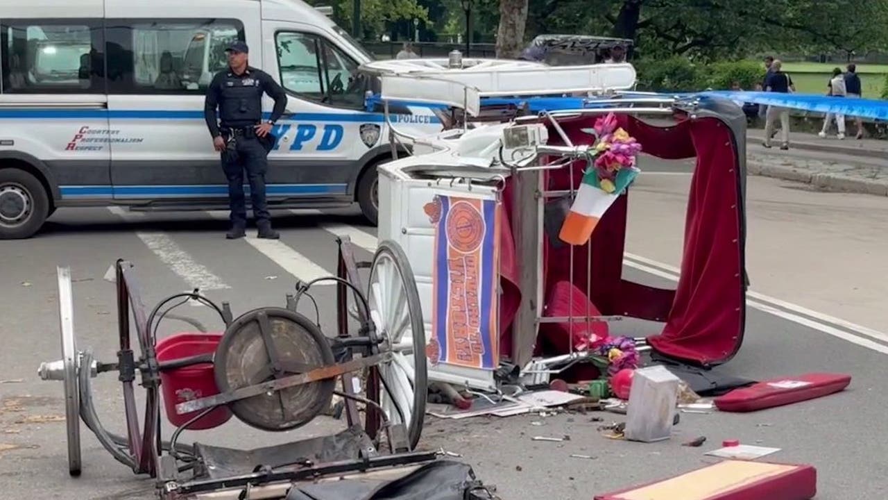 Central Park horse carriage drivers undergo safety training after teen ...