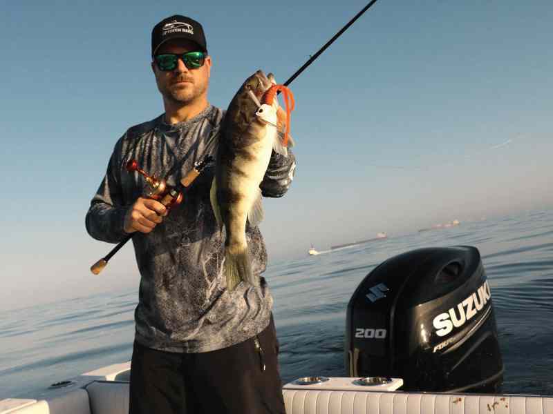 Basic techniques for targeting barred sand bass