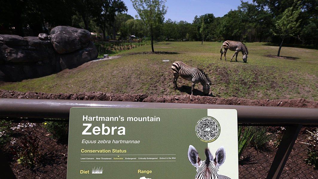 13 notable zoos across the United States