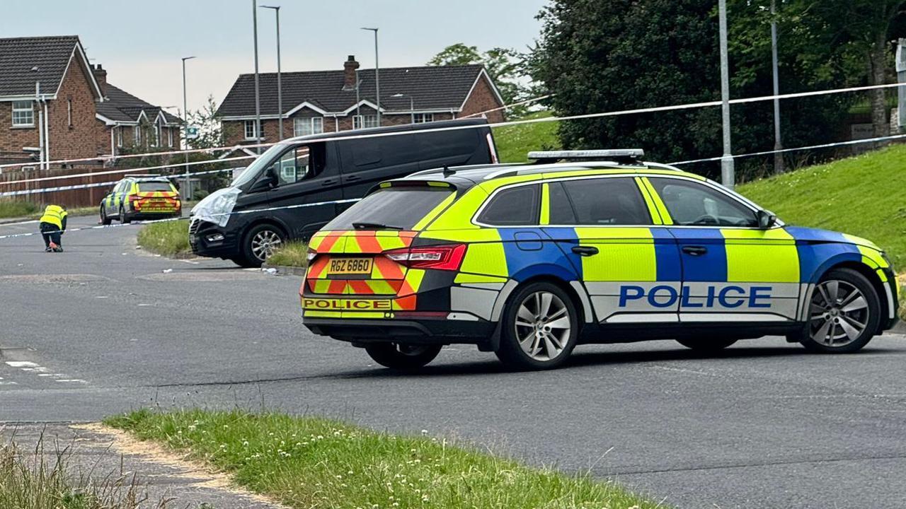 Five-year-old girl dies after being struck by van