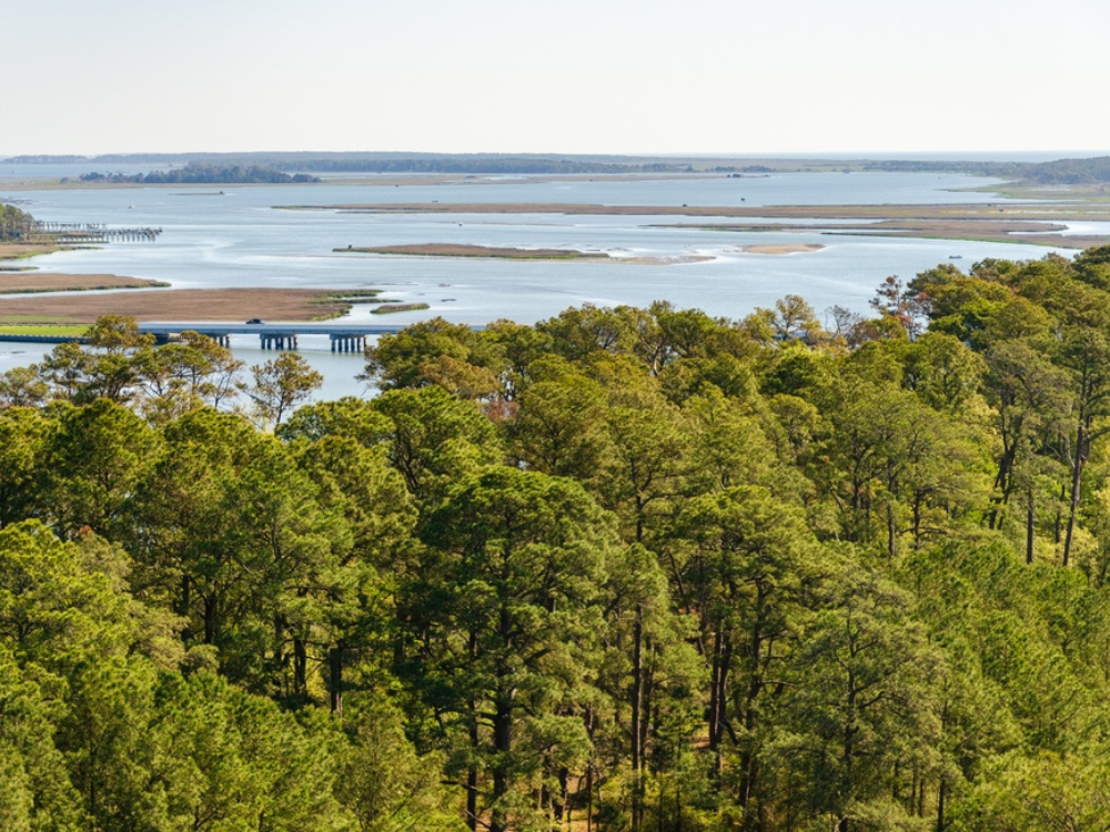 15 best US wildlife refuges to visit for retirement travel