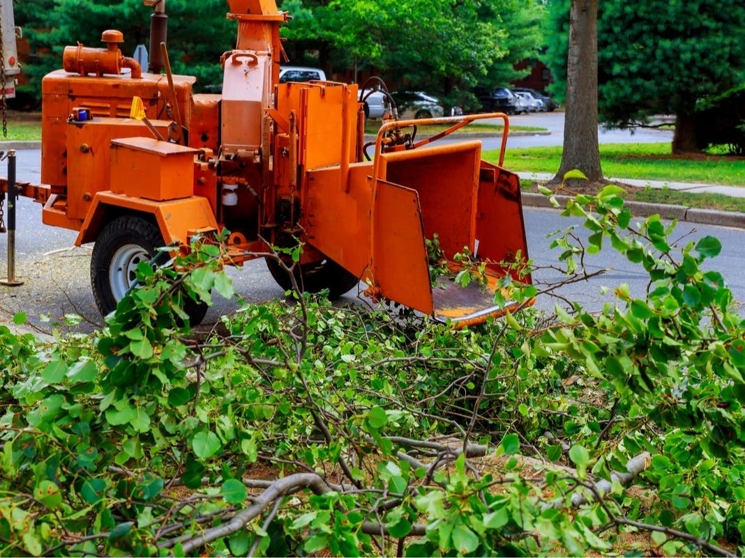 Tree work to disrupt I-84 traffic in Southington, Cheshire, and Plainville