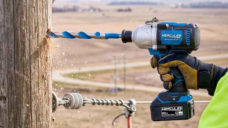 8 of the newest Harbor Freight Hercules finds available in June 2026