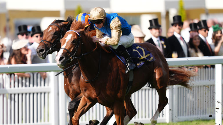 Menuisier reaching for the top with Lost Boys