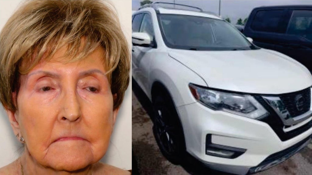 Mattie's Call issued for 92-year-old DeKalb County woman missing for ...