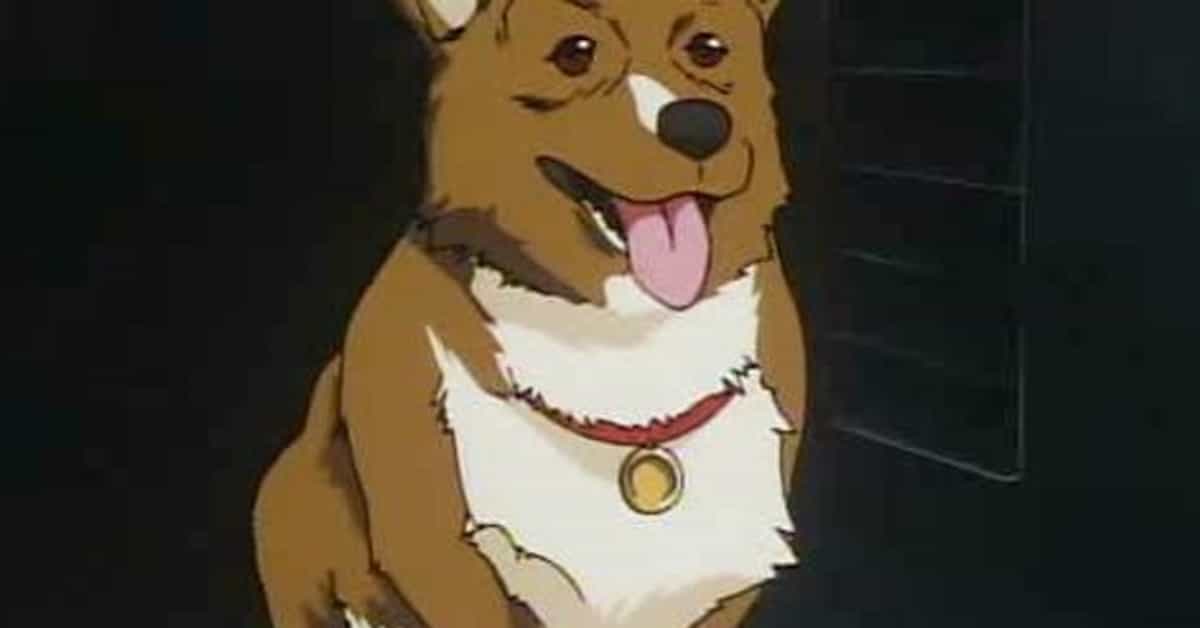 The best anime animal characters