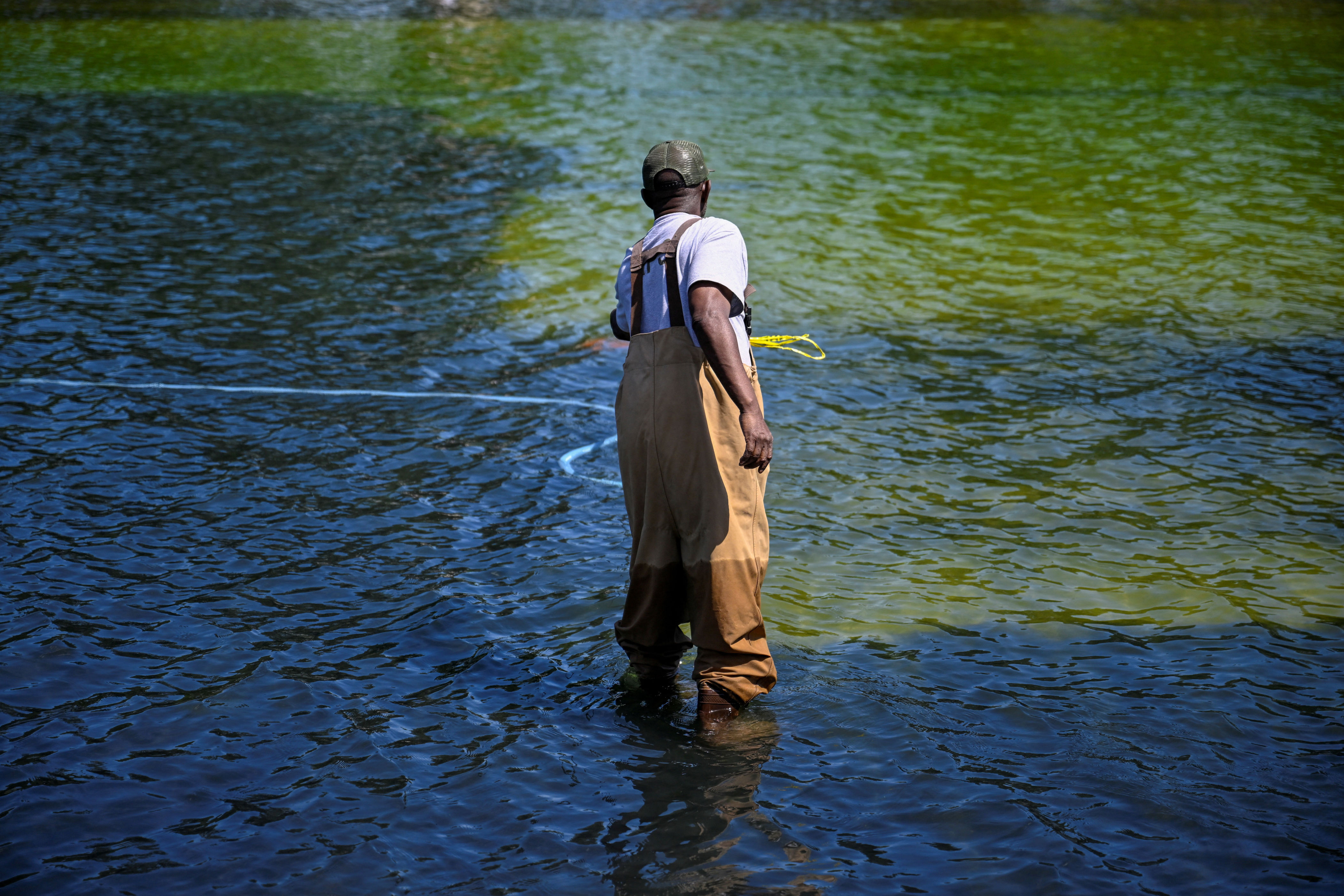 Why Washington’s reflecting pool has gone from 'US blue' to algae green