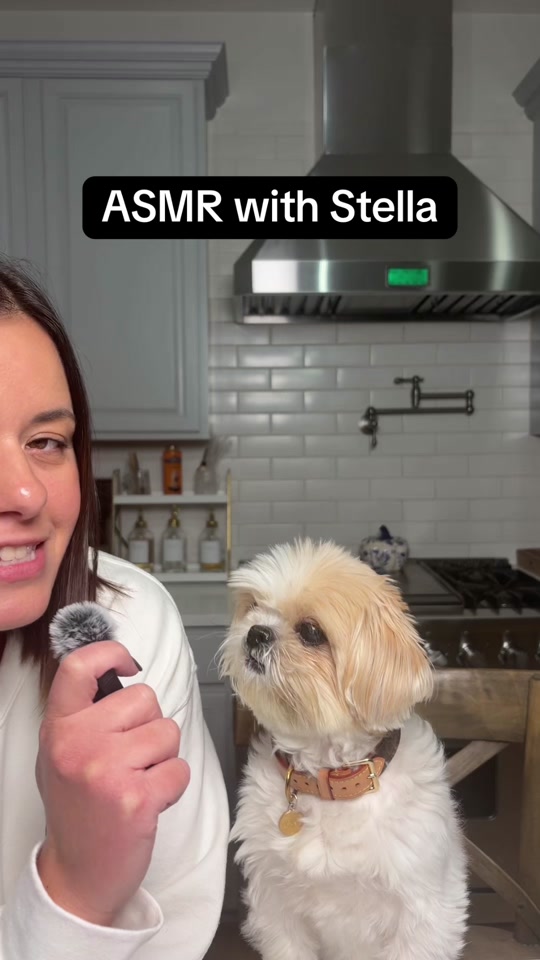 ASMR taste test with Stella and fruity treats