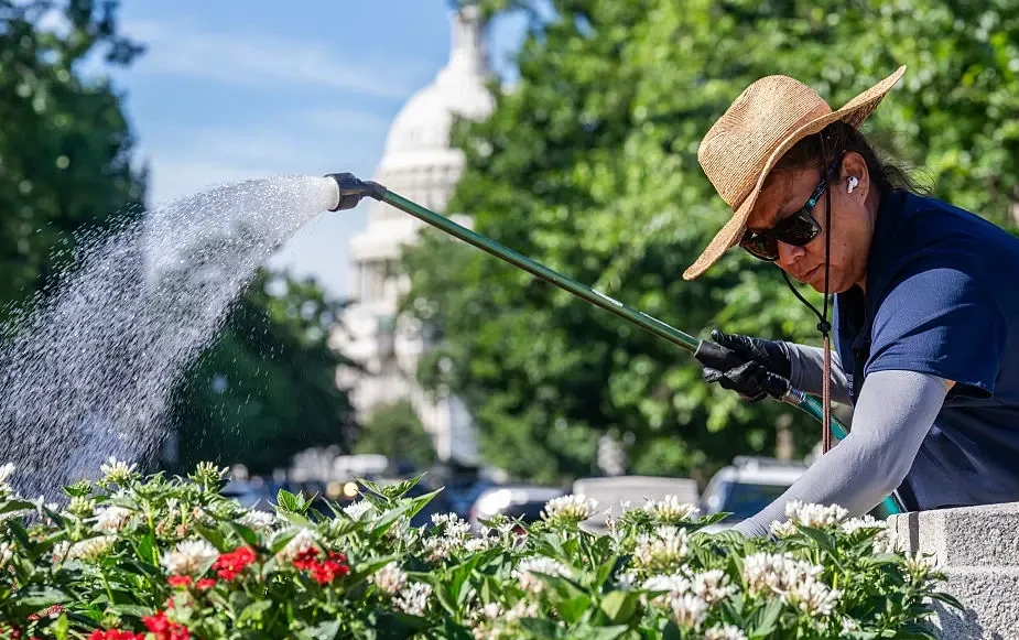 New gardening guides share tips for efficient summer care