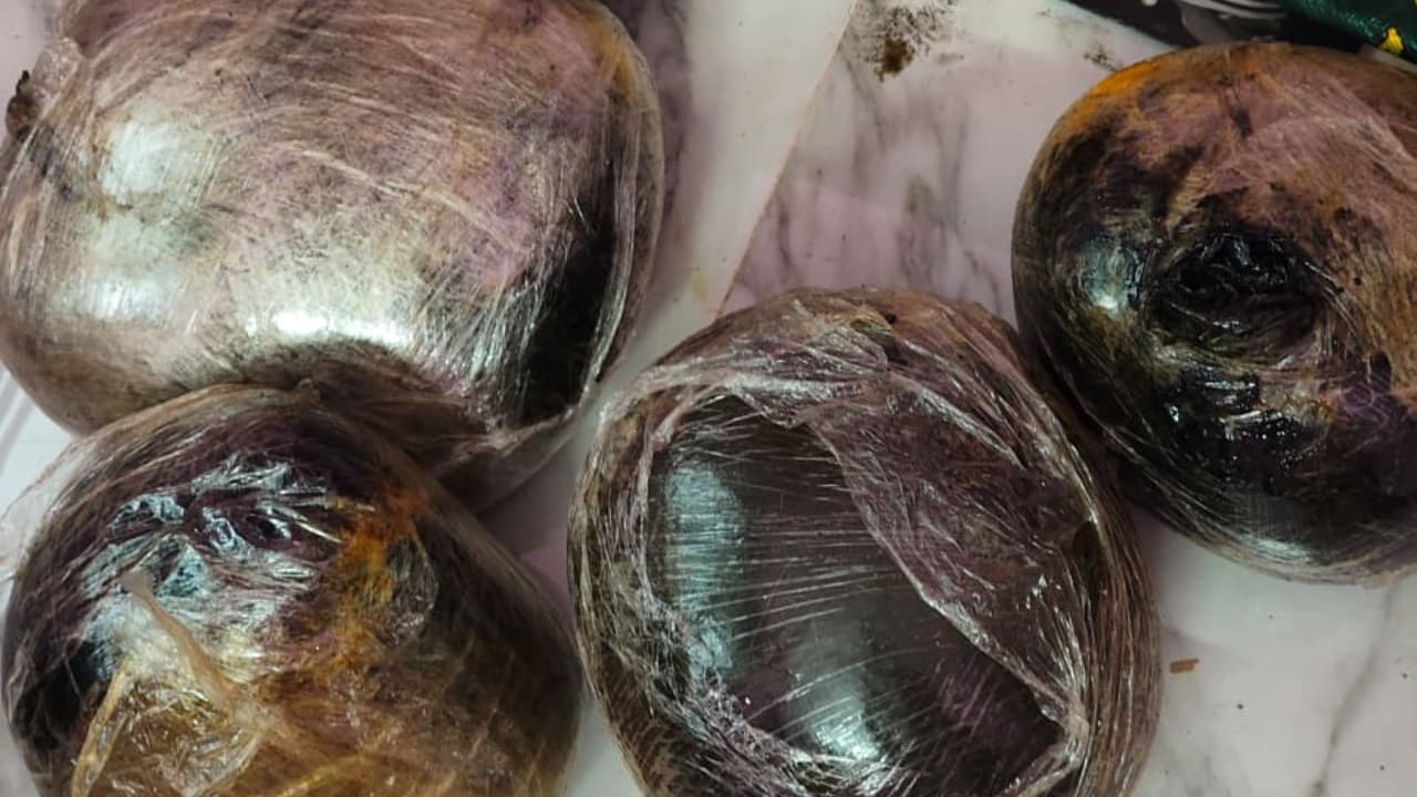 Whale vomit: Crores worth ambergris seized in Haripad raid! Read details