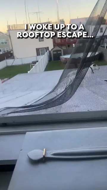 He was making his grand escape