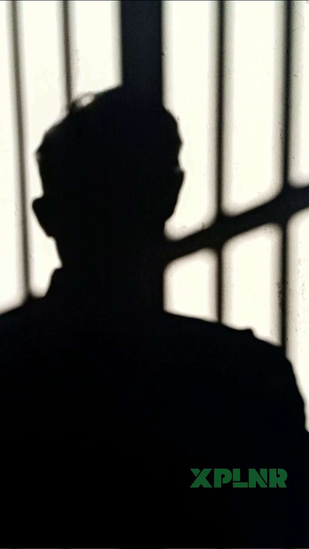Por que uma pessoa inocente pode se declarar culpada?