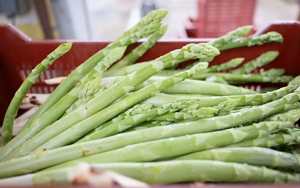Keep your asparagus fresh and crunchy longer